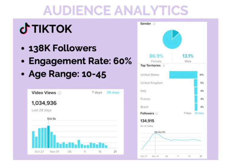 How to Maximize TikTok Influencer Marketing | Coupler.io Blog