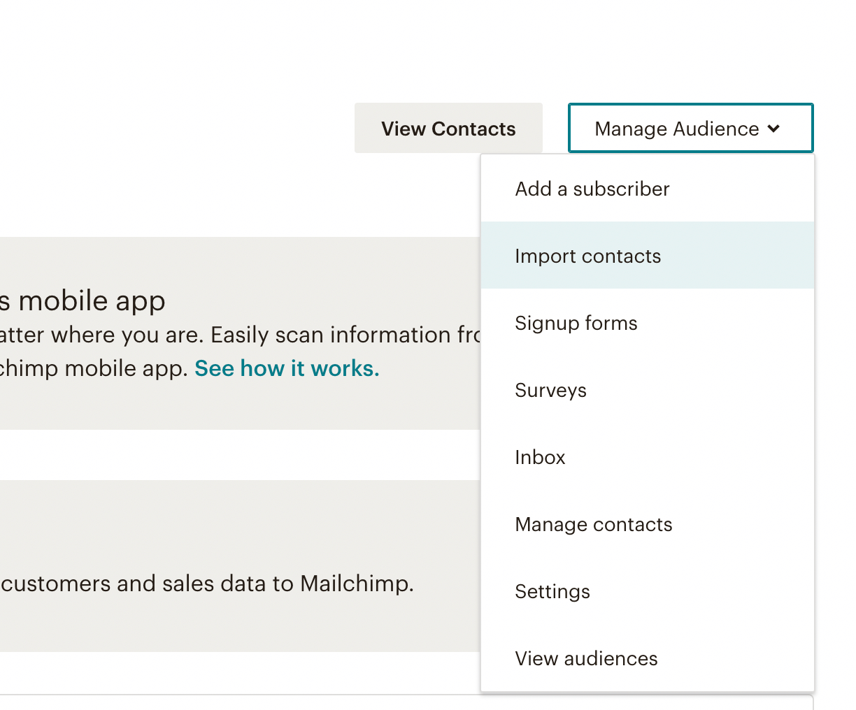 Mailchimp Database Integration Guide | Coupler.io Blog