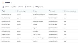 How to Export Asana Data - Ultimate Guide | Coupler.io Blog