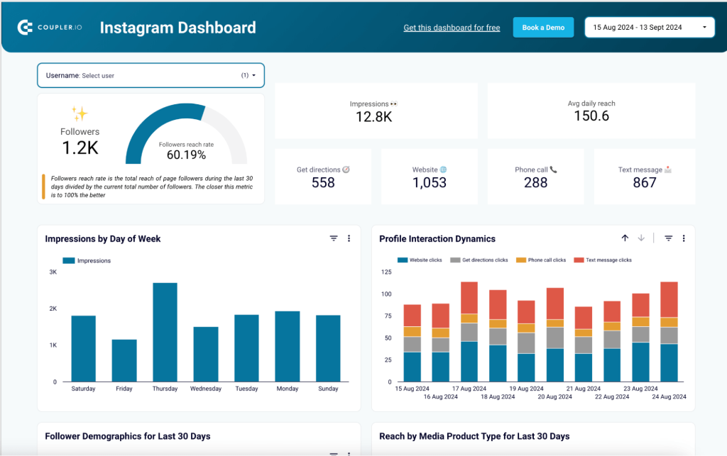 Top 5 Instagram Report Templates + Bonus | Coupler.io Blog