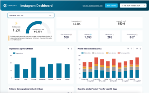 Top 5 Instagram Report Templates + Bonus | Coupler.io Blog