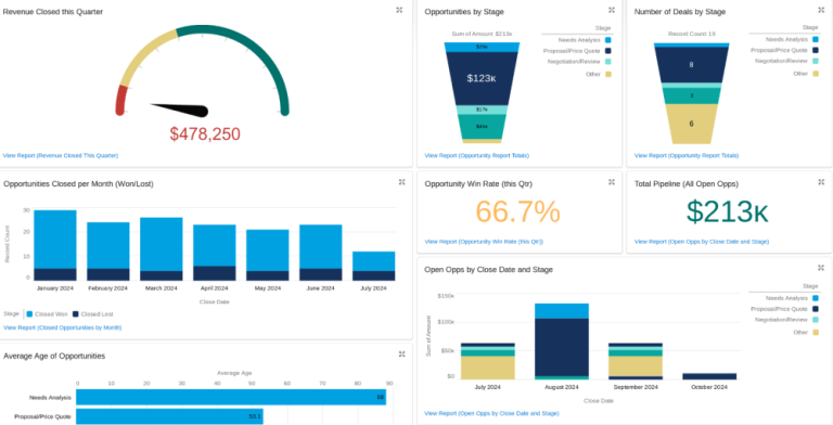 Best Salesforce Dashboards for Your Business in 2025 | Coupler.io Blog
