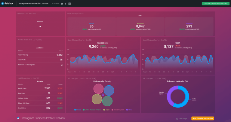 Top 5 Instagram Report Templates + Bonus | Coupler.io Blog